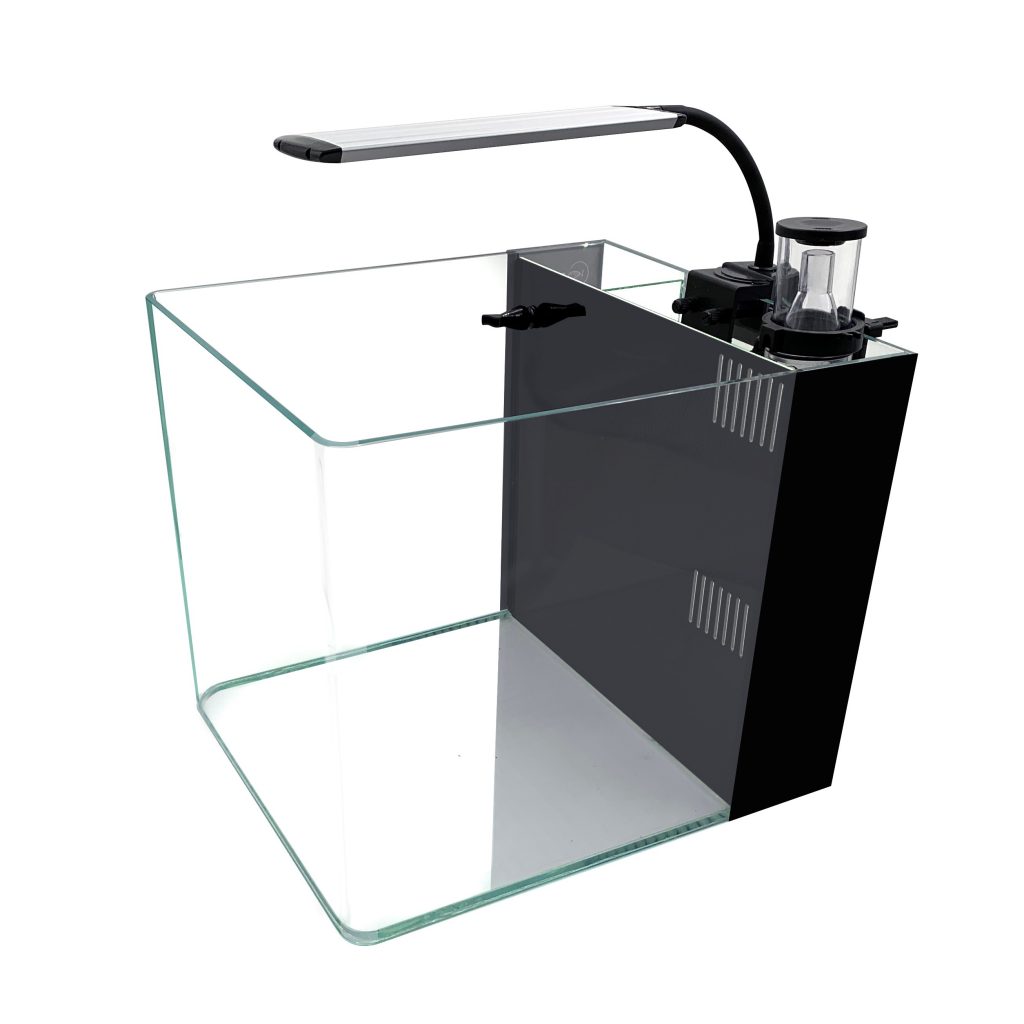 GankPike 8-Gallon Saltwater Aquarium Marine Fish Tank Reef Tank with ...